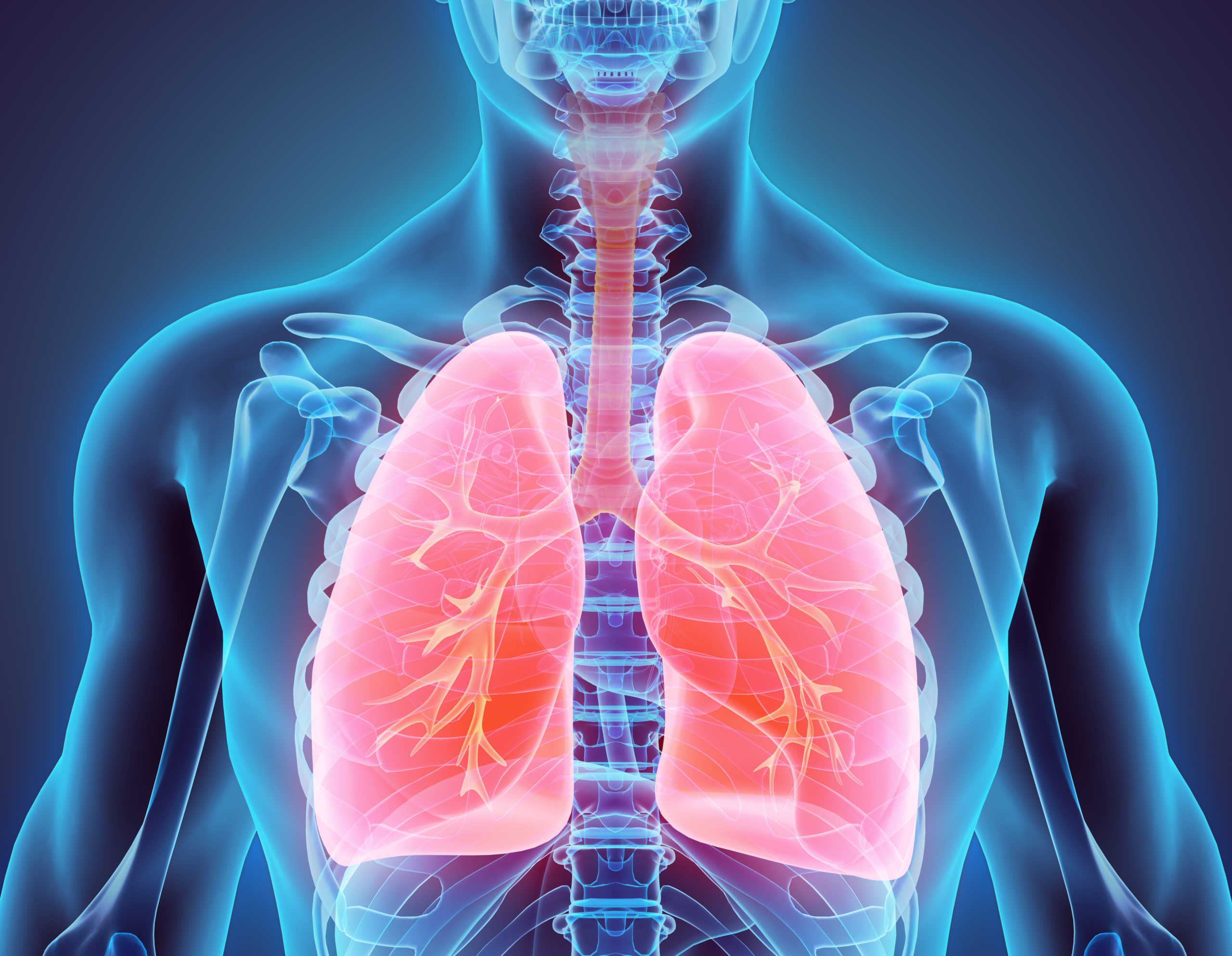 Respiratory Equipment Filtration And Flow Control To Medical Devices Respiratory Equipment Filtration And Flow Control To Medical Devices